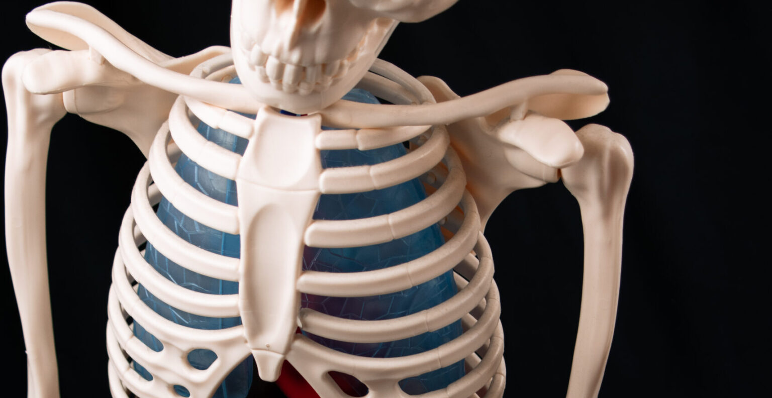 Dornfortsatz-Schmerzen: Ursachen, Symptome und Behandlungsmöglichkeiten ...